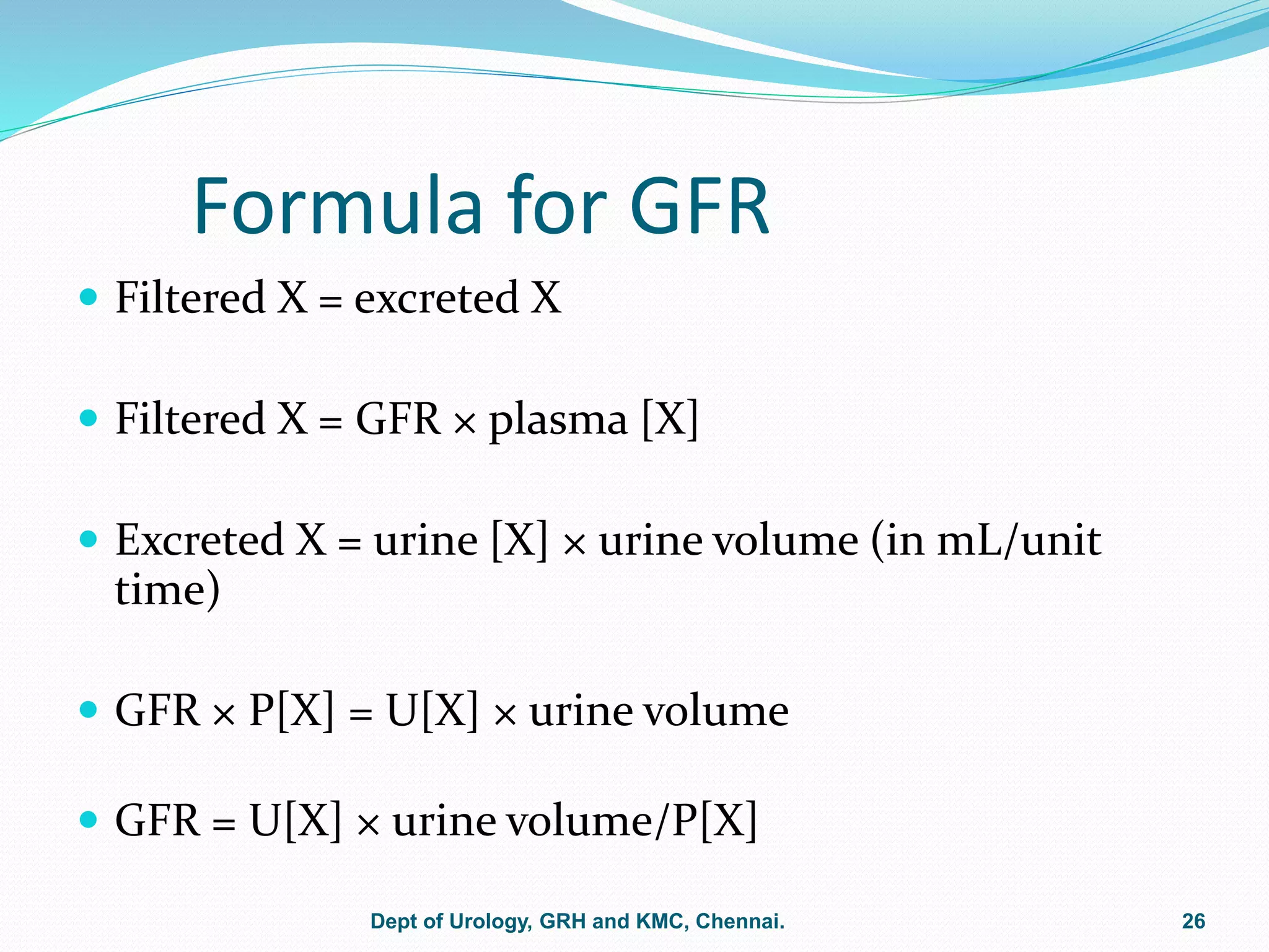 Renal Hemodynamics | PDF