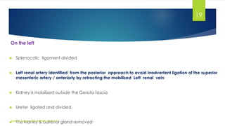 MANAGEMENT OF LOCALLY ADVANCED RENAL CELL CARCINOMA | PDF
