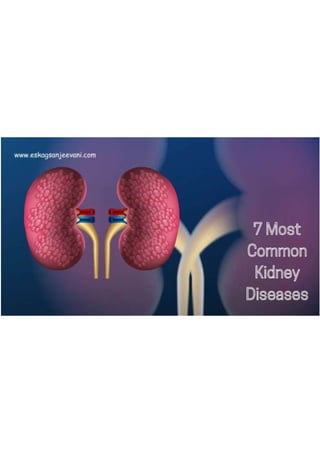 7 Most Common Kidney Diseases | PDF