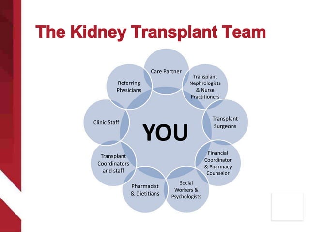 Kidney-Transplantation-PowerPoint-Presentation-compressed.pptx