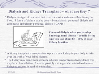 Know Your Kidneys | PPS