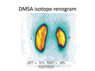 medicine.Kidney 2.(dr.ala) | PPT