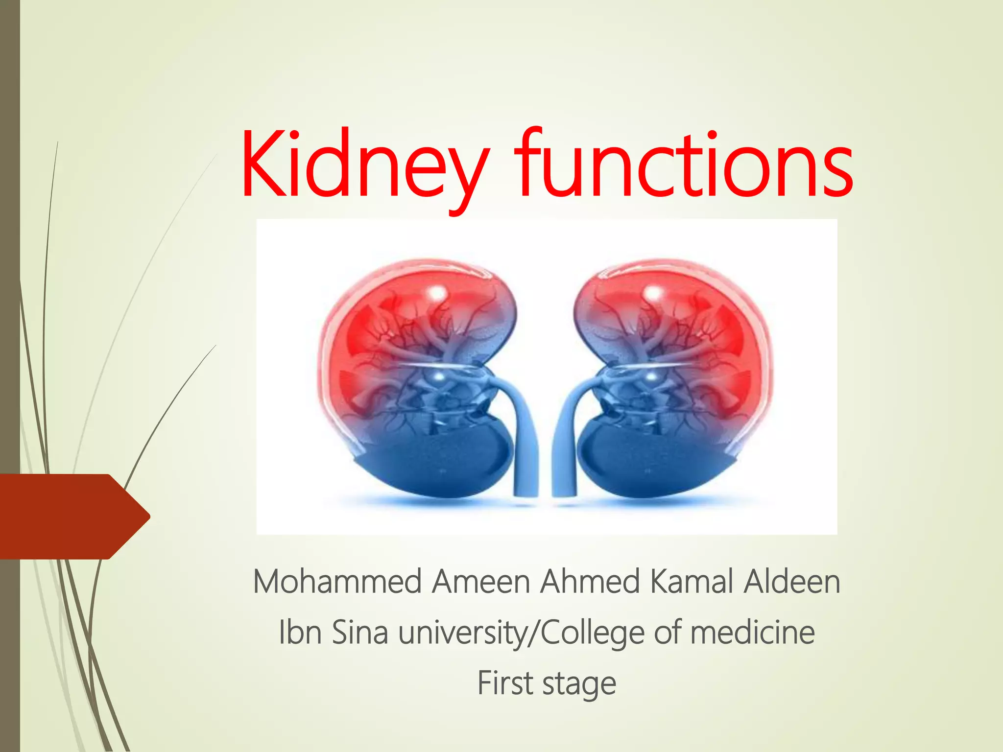 Kidney function | PPT