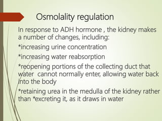 Kidney function | PPTX