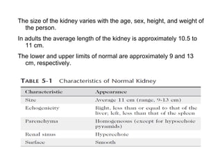 Kidney ultrasound | PPT