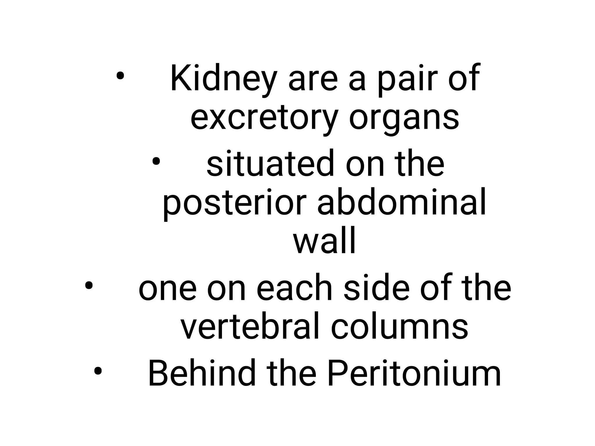 Kidney anatomy 1.pdf