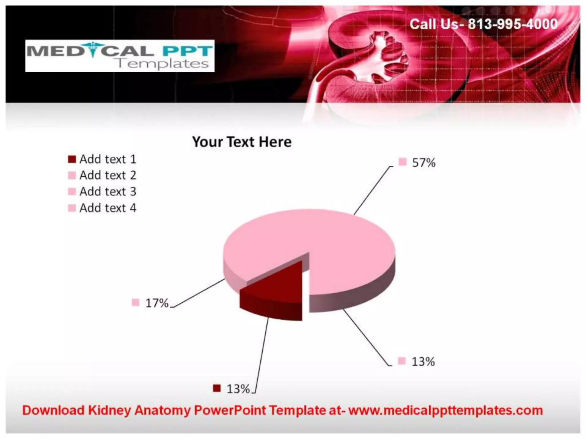 Kidney Anatomy PowerPoint Template | PPTX