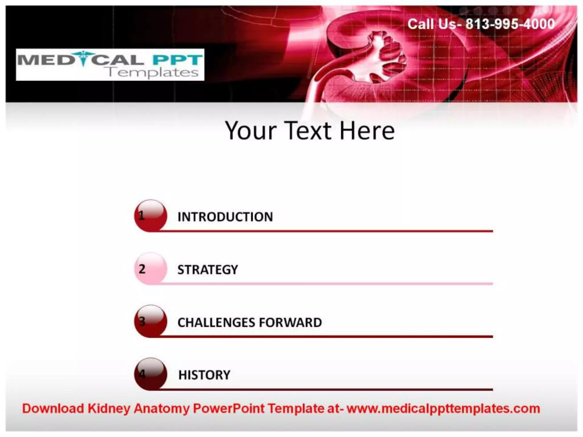 Kidney Anatomy PowerPoint Template | PPTX