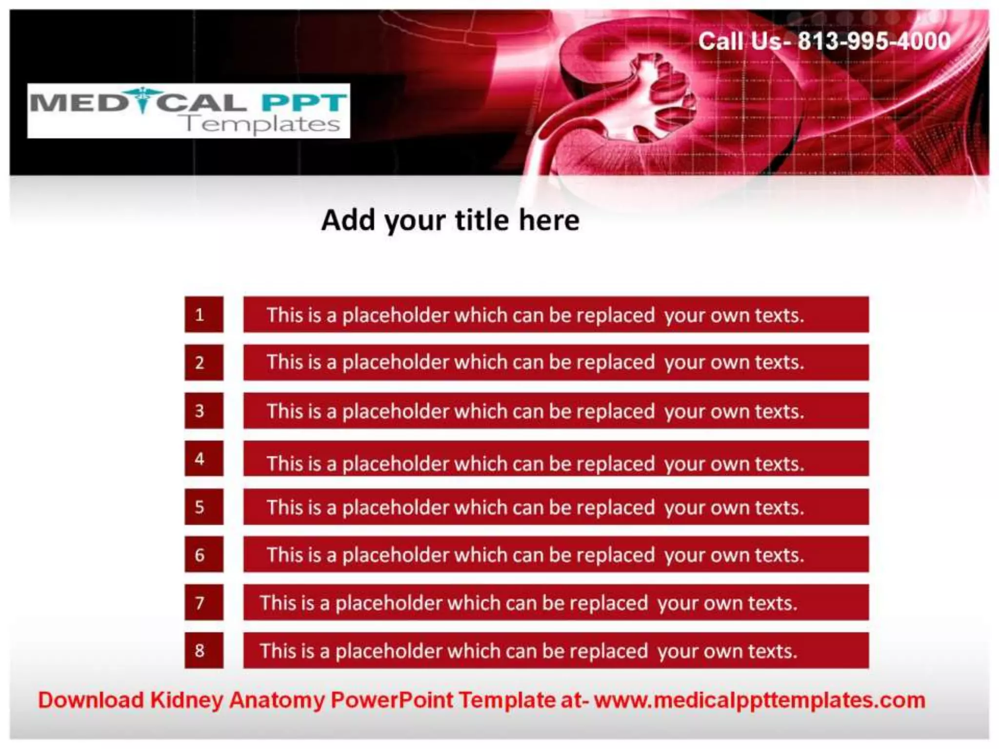 Kidney Anatomy PowerPoint Template | PPTX
