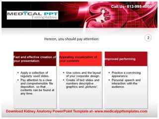 Kidney Anatomy PowerPoint Template | PPTX