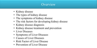 Kidney and liver diseases | PPT