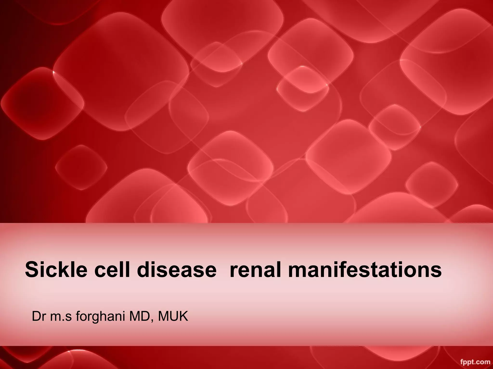 Kidney and scd | PPT