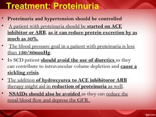 Kidney and scd | PPT