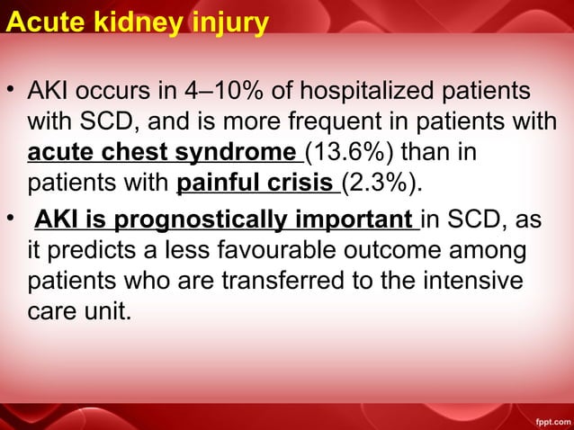 Kidney and scd | PPT | Blood Disorders | Diseases and Conditions