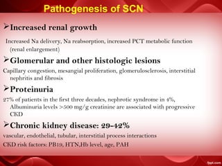 Kidney and scd | PPT | Blood Disorders | Diseases and Conditions