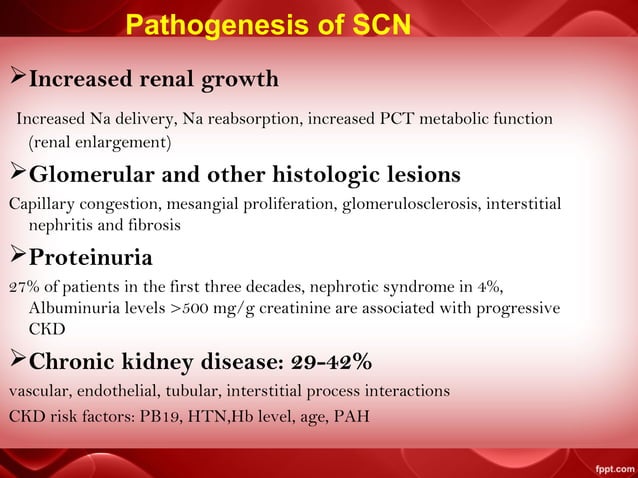 Kidney and scd | PPT | Blood Disorders | Diseases and Conditions