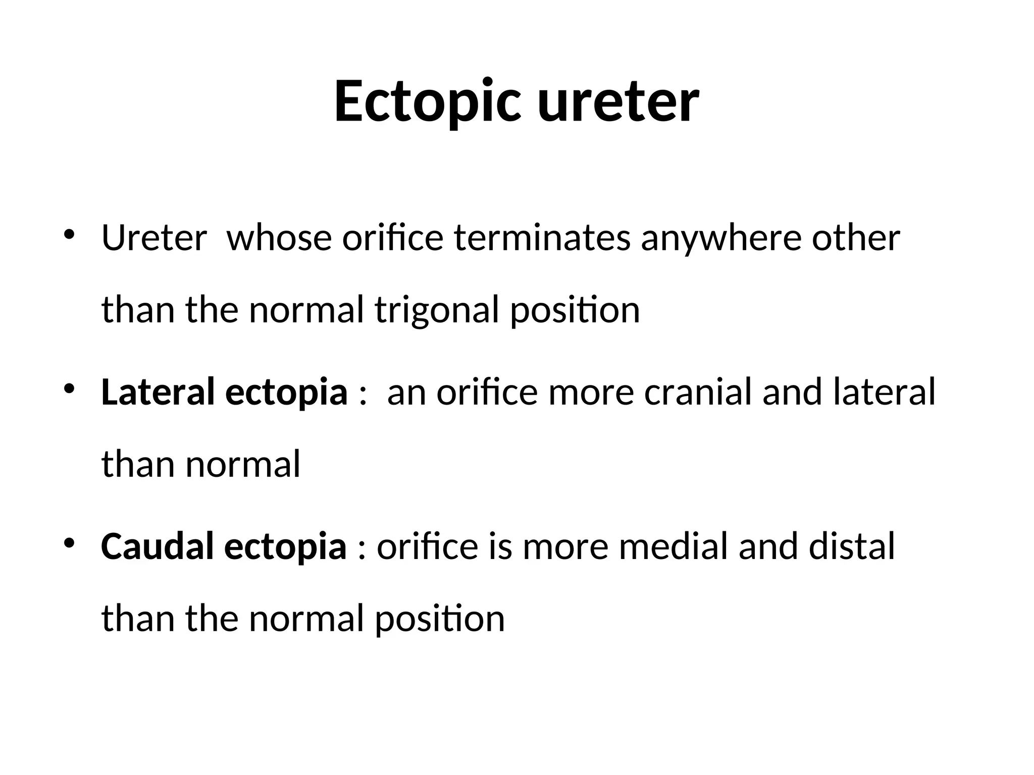 The kidney and The ureters Agenesis.ppt