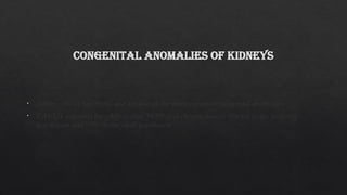 Comprehensive Overview of Congenital Kidney Anomalies and Their ...