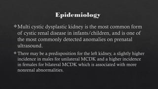Comprehensive Overview of Congenital Kidney Anomalies and Their ...
