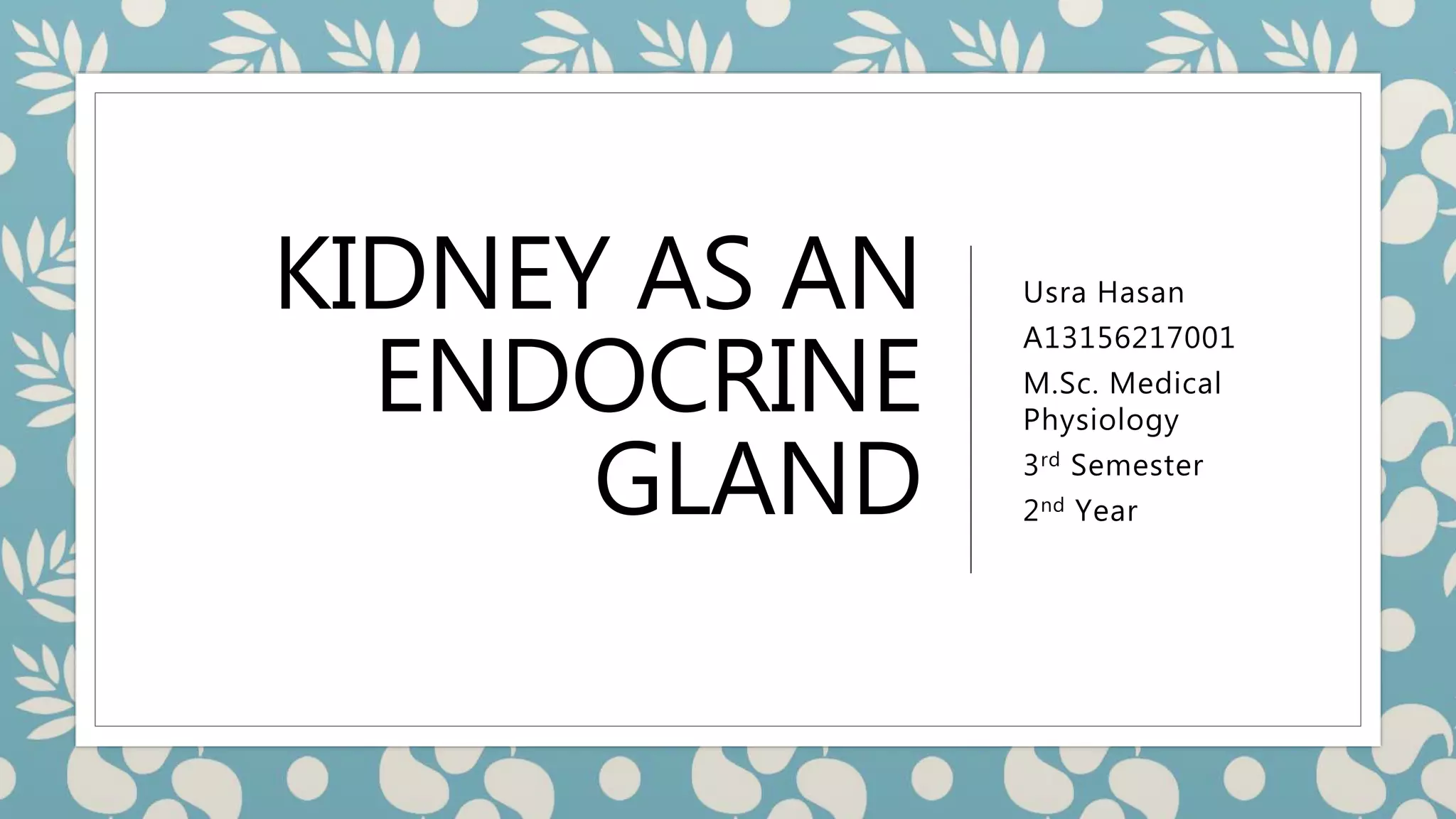 Kidney as an endocrine gland and its non excretory fuctions | PPTX