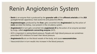 Kidney as an endocrine gland and its non excretory fuctions | PPTX
