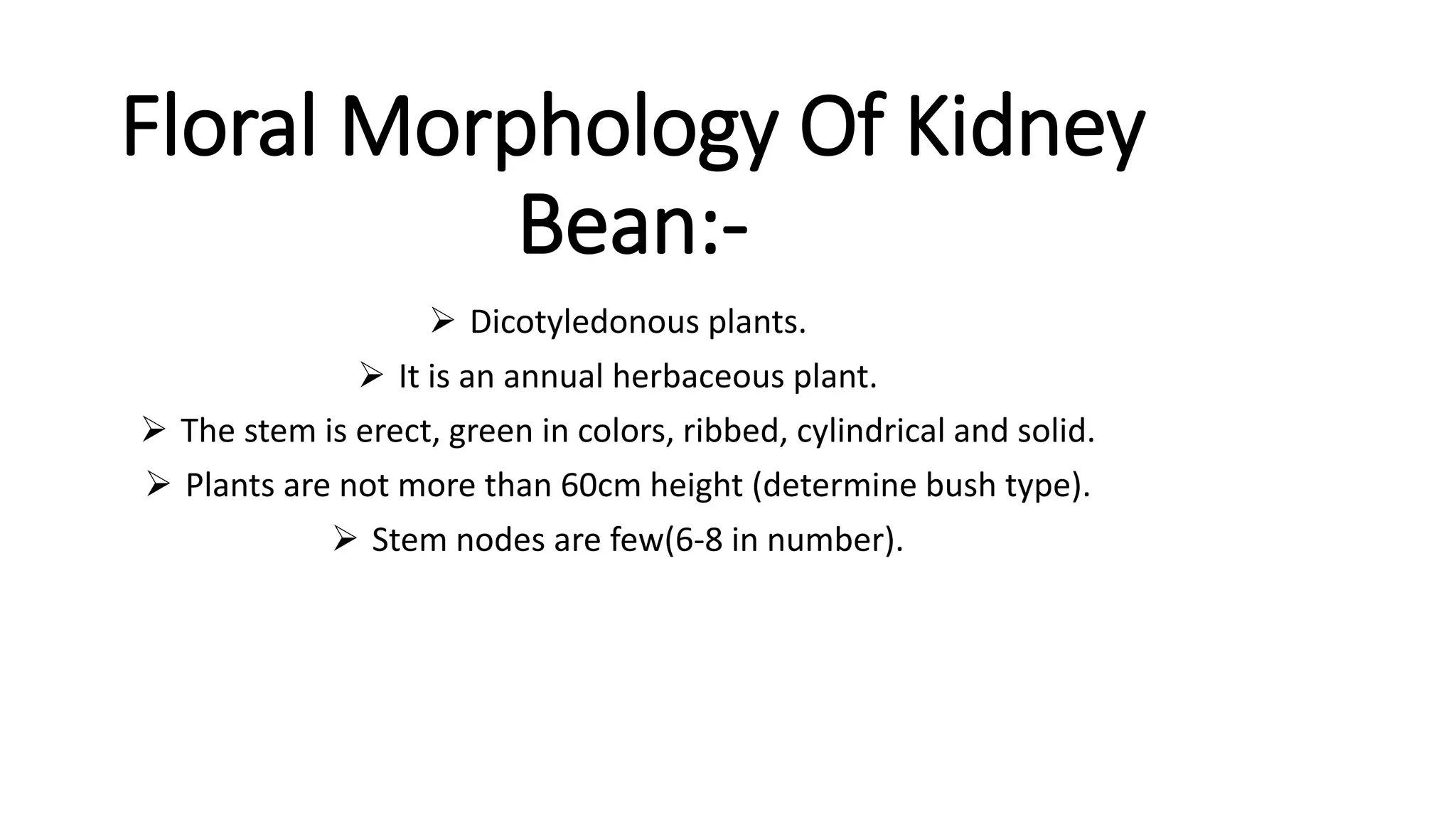 kidney bean morphology and its floral characteristics.pptx