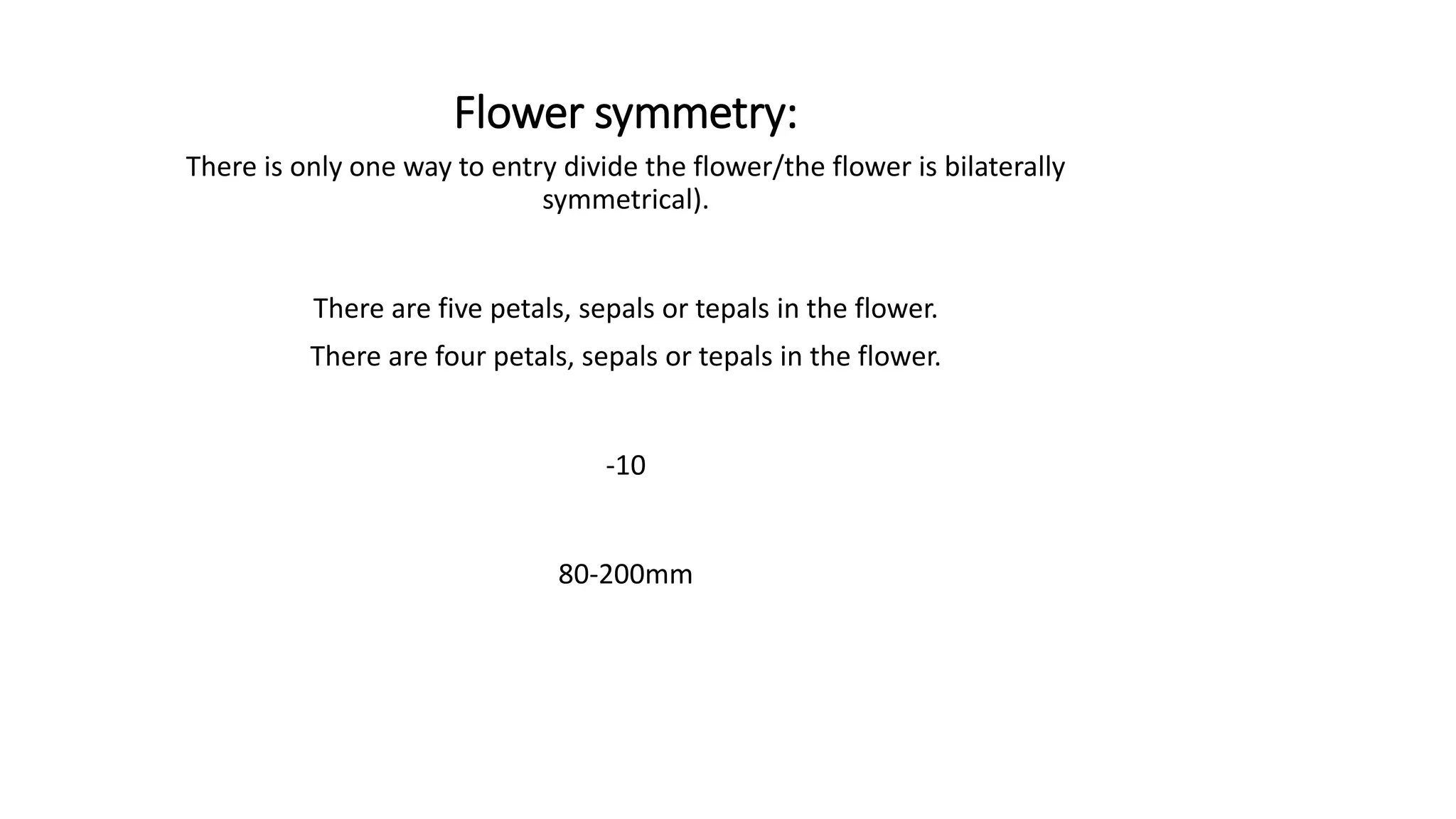 kidney bean morphology and its floral characteristics.pptx