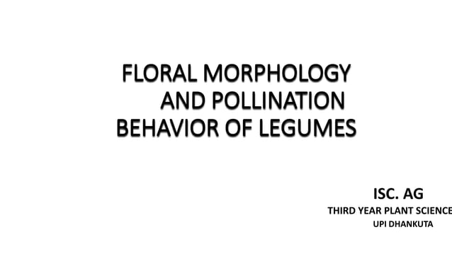 kidney bean morphology and its floral characteristics.pptx