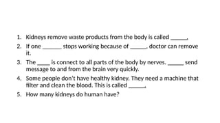 Kidney&brain.speak in english. science 1 | PPTX