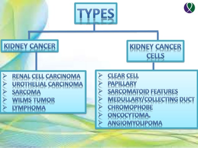 Types of kidney cancer and its cells by Thecureforcancer