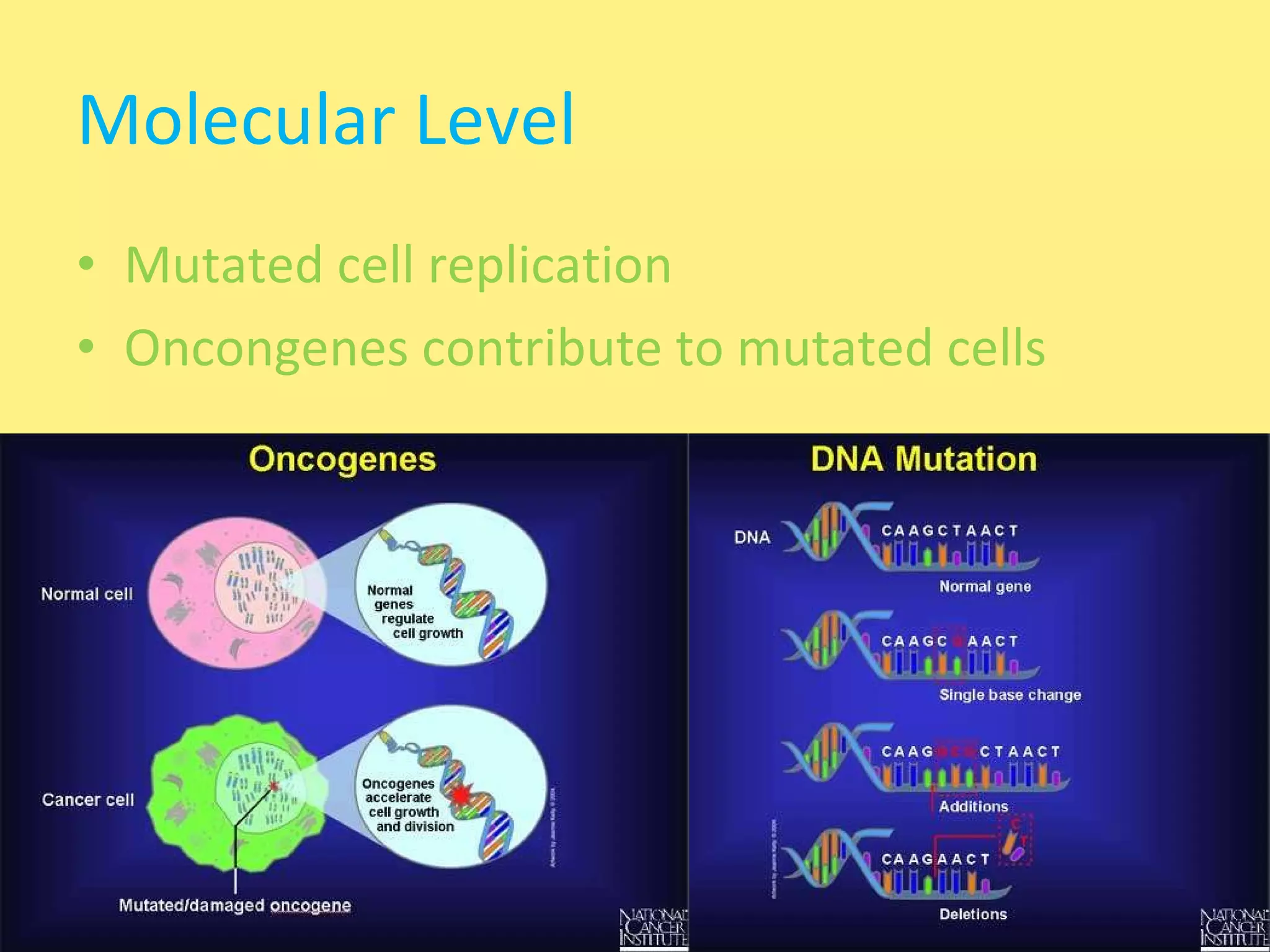 Kidney cancer project | PPT