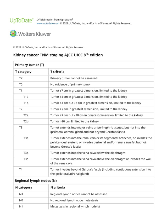 Renal (Kidney )cancer TNM, 8th edition.pdf