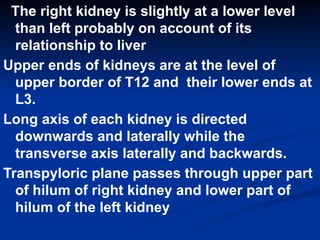 Structure of kidney anatomyyyyyyyyyy.ppt