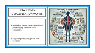 Kidney Detoxification: A Path to Better Health | PPTX