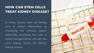Kidney Disease and Stem Cell Solutions Dr David Greene Arizona | PPTX