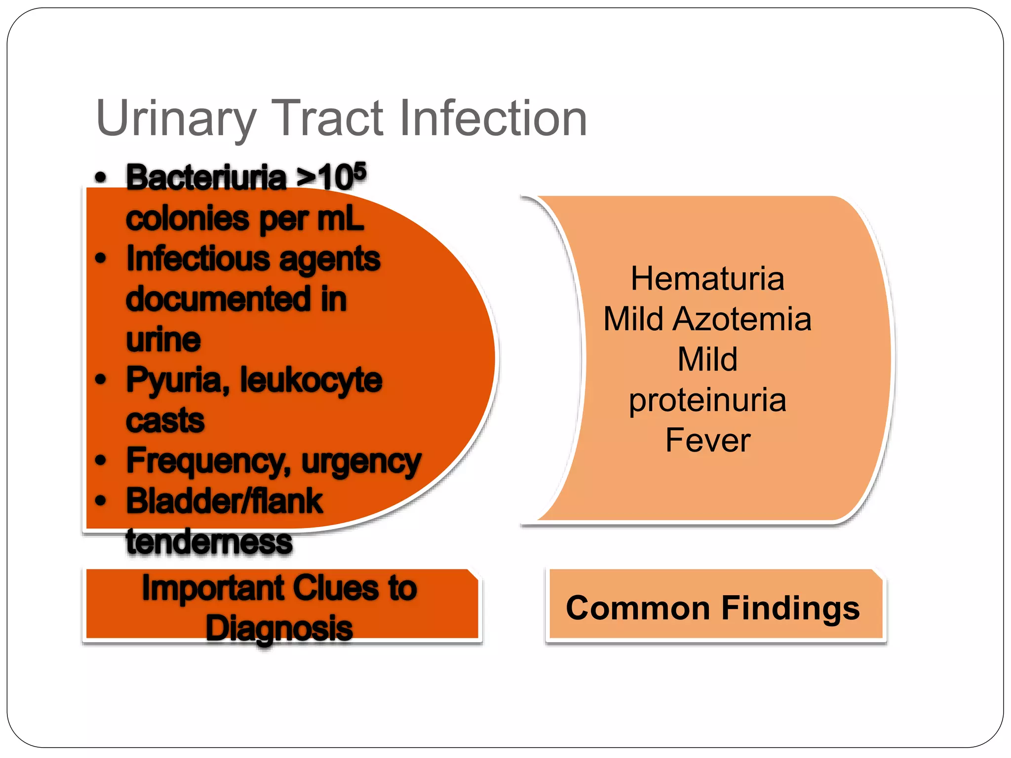 Kidney diseases and diuretics | PPTX