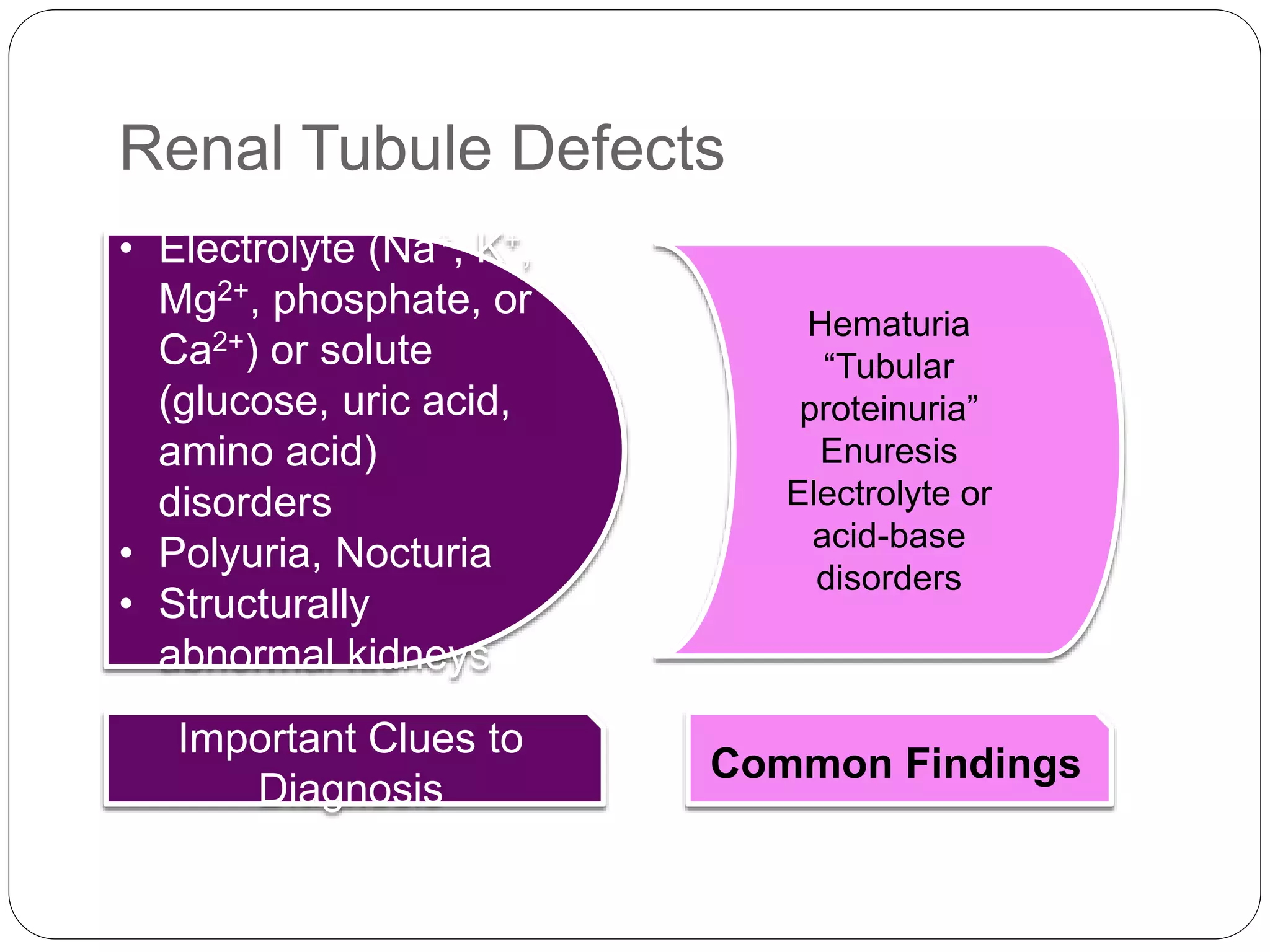 Kidney diseases and diuretics | PPTX
