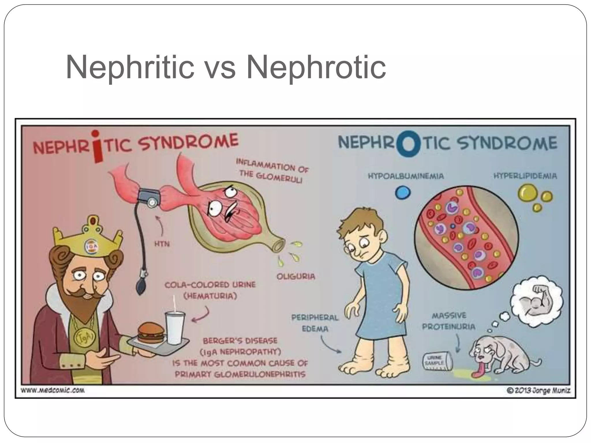 Kidney diseases and diuretics | PPTX