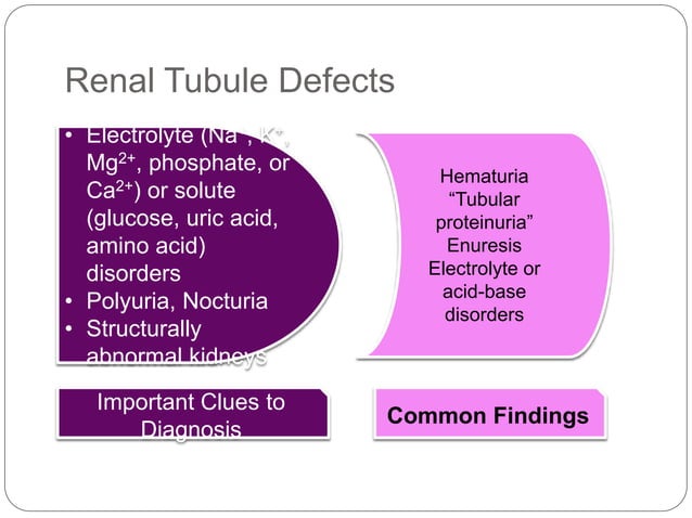 Kidney diseases and diuretics | PPTX | Blood Disorders | Diseases and ...