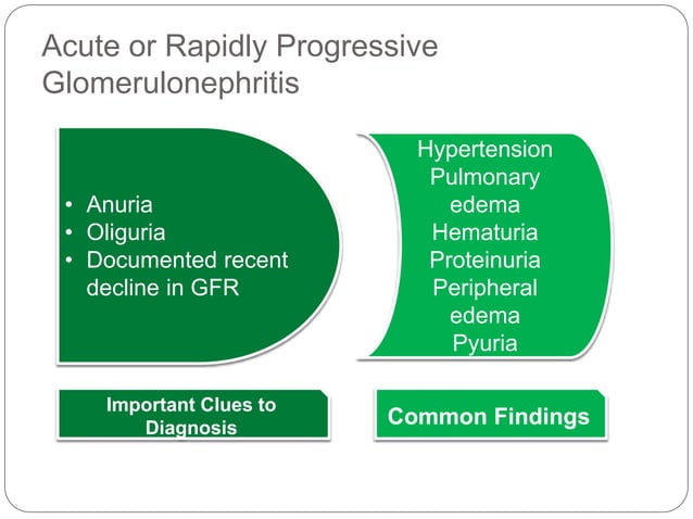 Kidney diseases and diuretics | PPTX | Blood Disorders | Diseases and ...