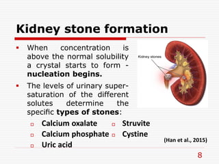 Kidney Diseases - Clinical Nutrition Therapy | PDF