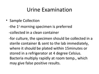 Kidney disorders, Laboratory Investigation and Renal Function Tests | PPT