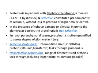 Kidney disorders, Laboratory Investigation and Renal Function Tests | PPT