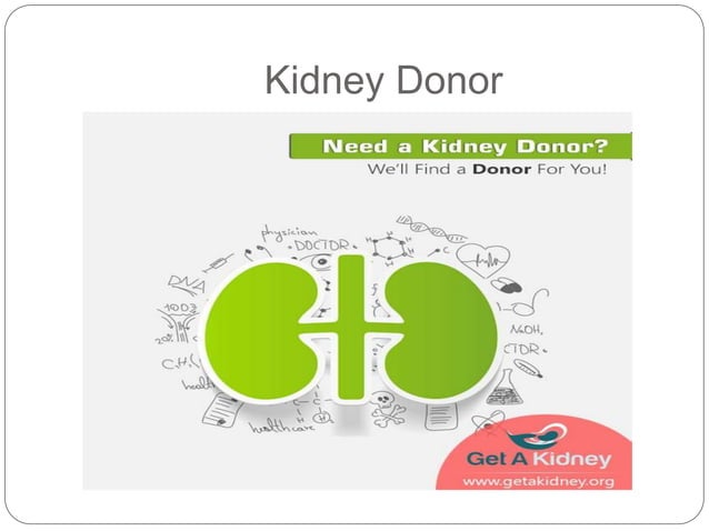 Kidney donor | PPTX