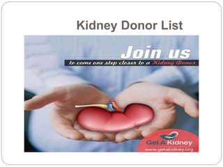 Kidney donor | PPTX