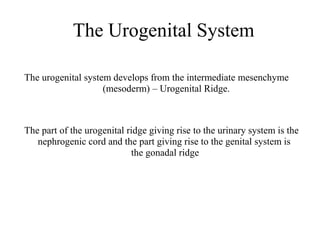 Kidney embryology | PPTX