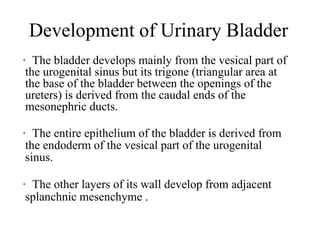 Kidney embryology | PPTX