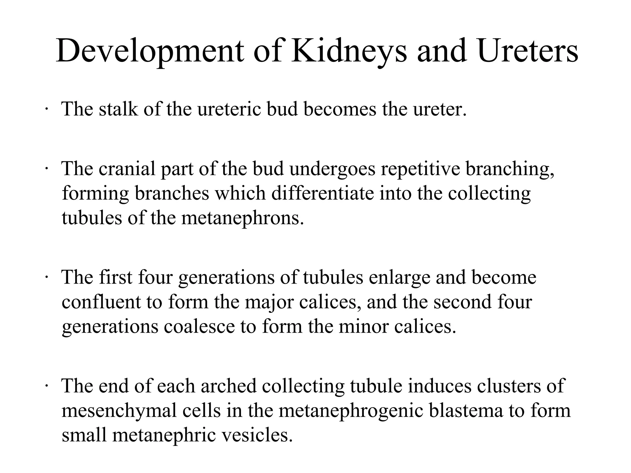 Kidney embryology | PPT