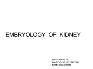 kidney embryoloGY.pptx