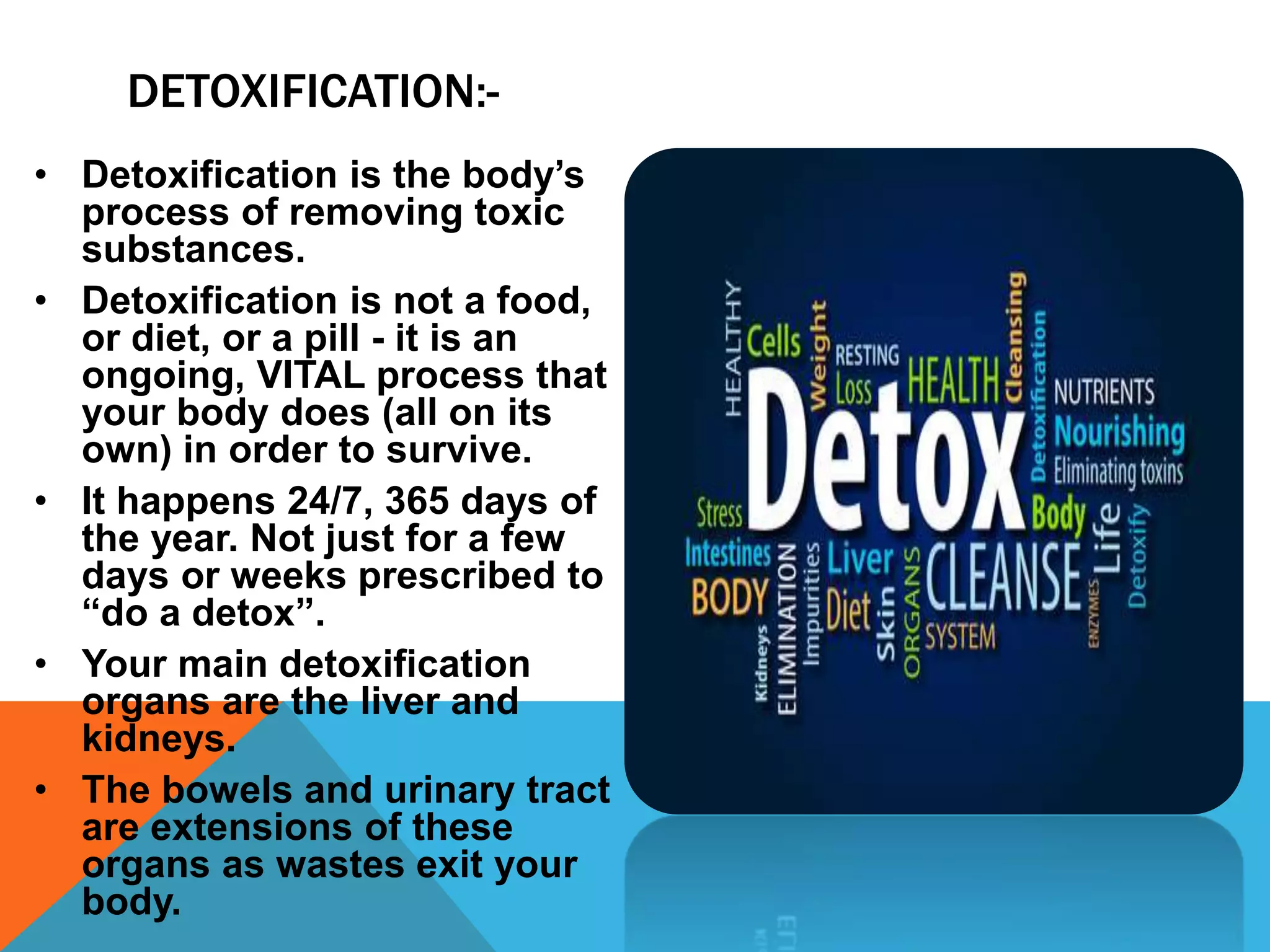 Kidney excretion & detoxification | PPTX